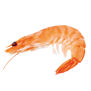 La crevette - Observatoire des aliments : Observatoire des aliments